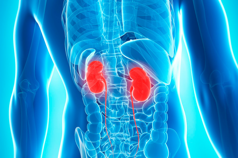 MEDICAL MEDIUM MONO EATING CLEANSE (PART 1)