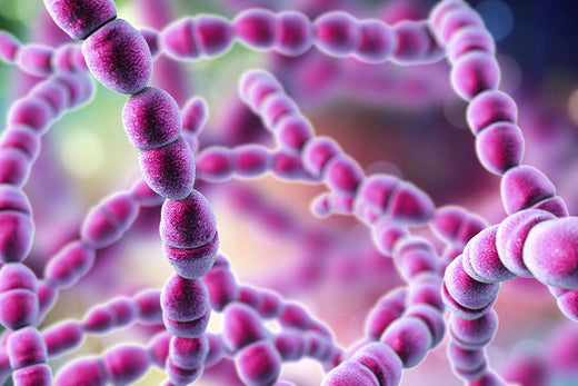 The truth about strep