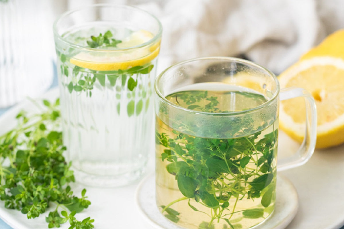 Tea and water with fresh oregano